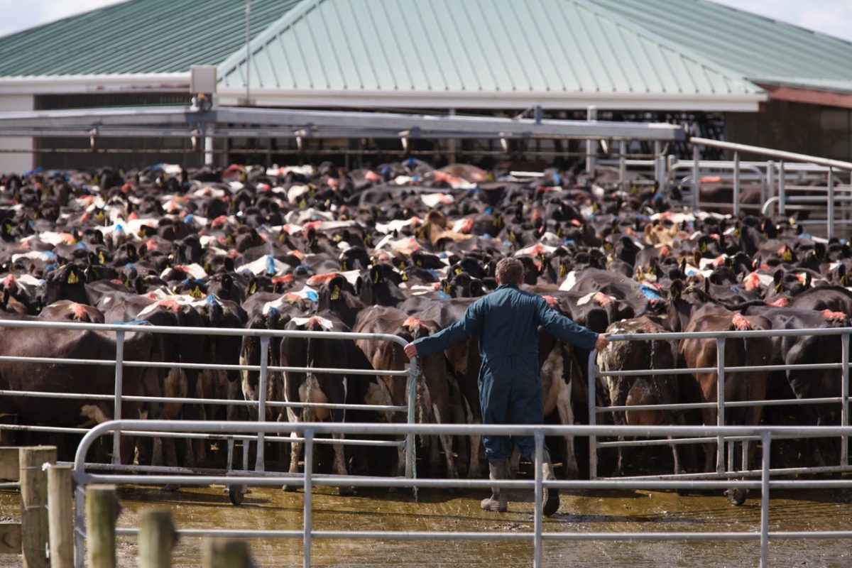 Good Farm planning key to farmers’ futures - Good Farm Planning Hub