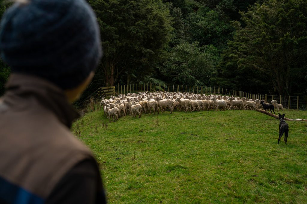 How We Help - Good Farm Planning Hub